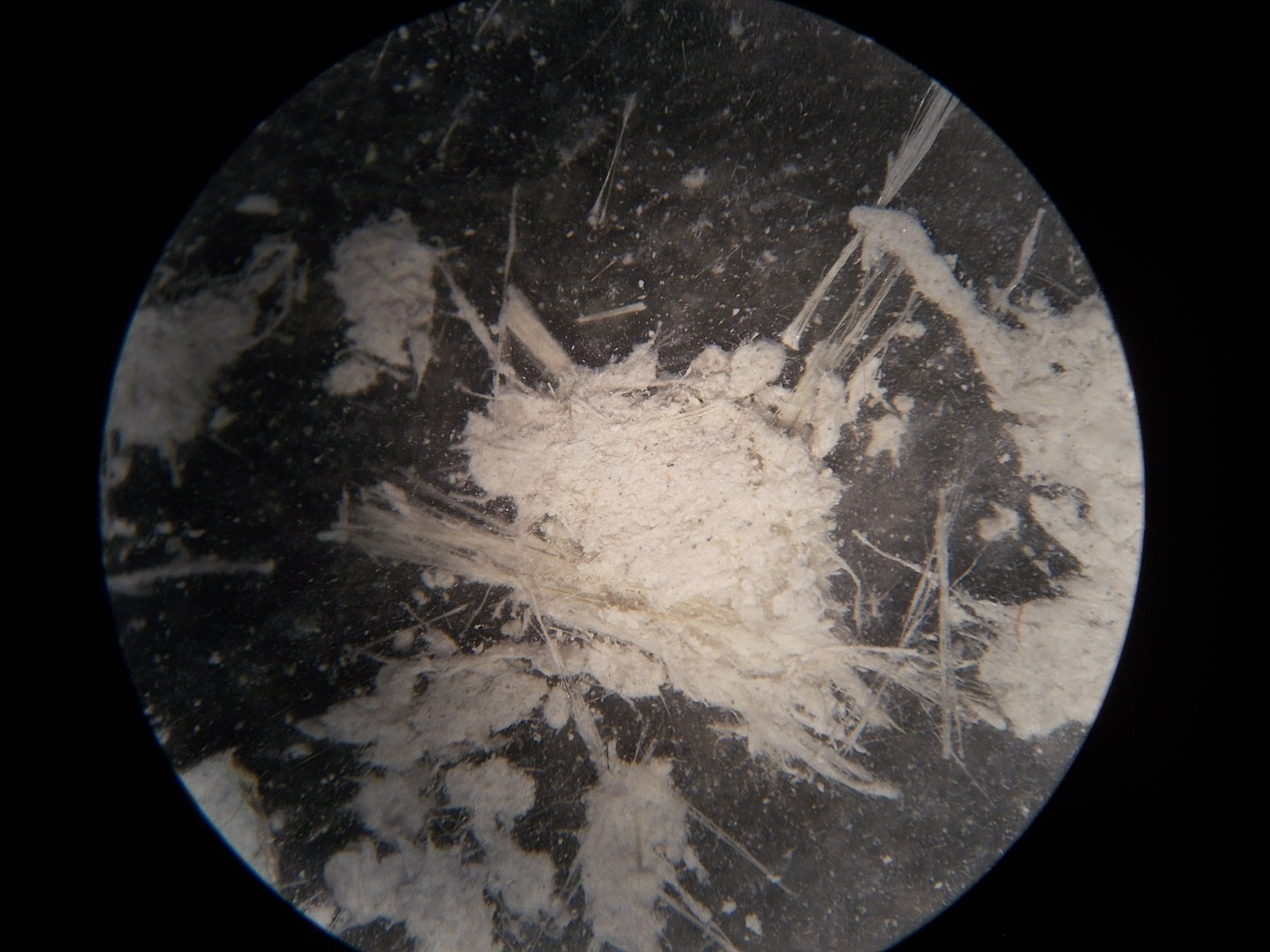 Asbestos check, Asbestos register, Asbestos Inspection, Queensland
